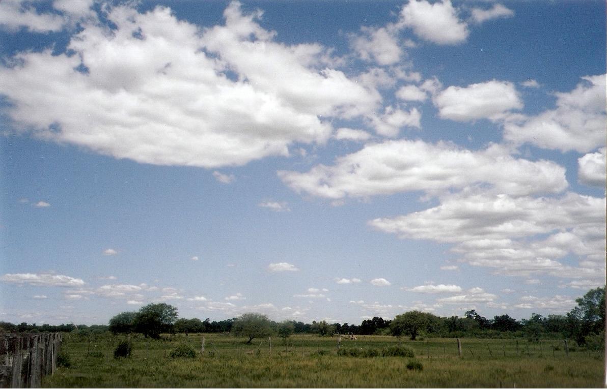 Santa Fe, nuestra provincia: Llanura Chaqueña
