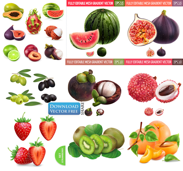 Đồ họa trái cây Việt giàu dinh dưỡng fruits vector 7002 ~ MrPixelVn ...