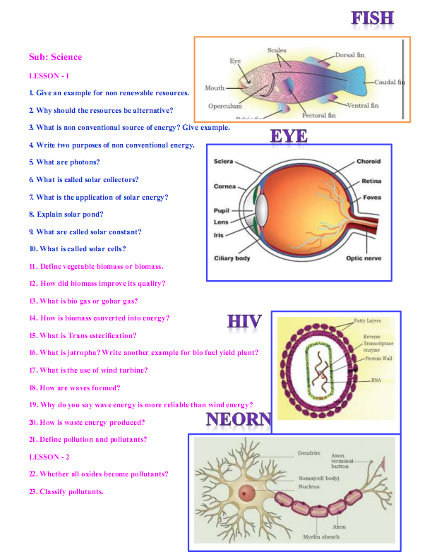 SSLC SCIENCE DIAGRAMS ENGLISH MEDIUM