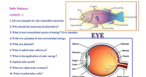 SSLC SCIENCE DIAGRAMS ENGLISH MEDIUM