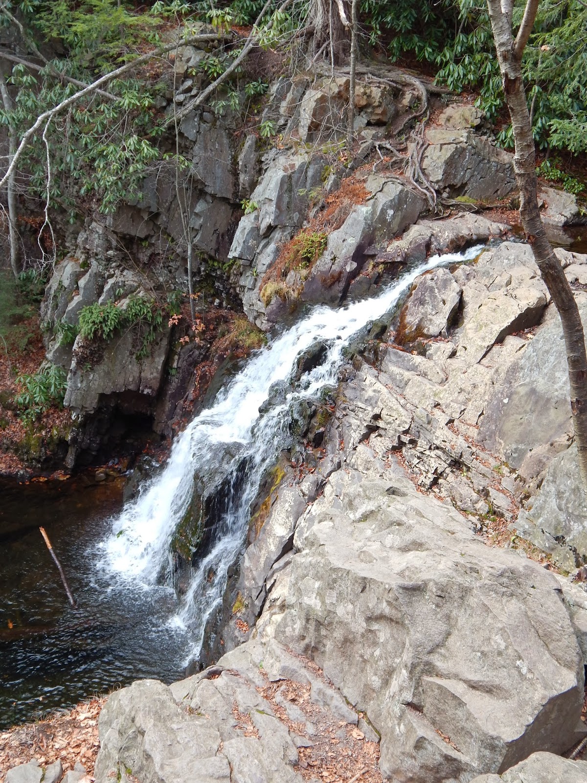 Those Who Wander: Hawk Falls Trail