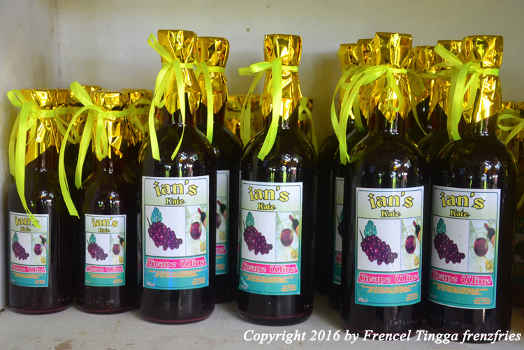 Frenz Fries: Calica Grapes Farm, La Union