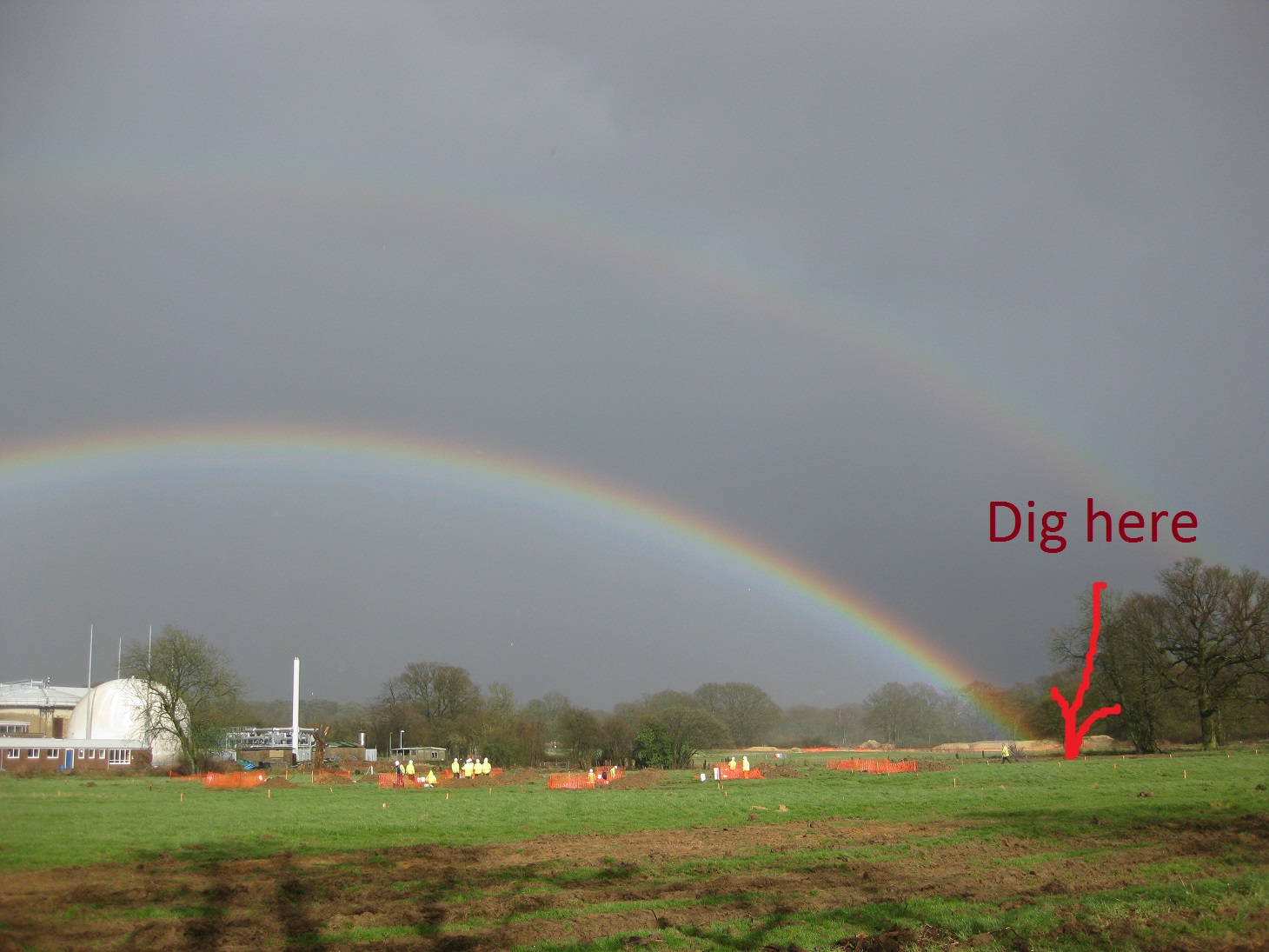 Biodiversity Gatwick: The Holy Grail (Archaeological update)