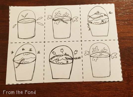 Wombat Writing | From the Pond