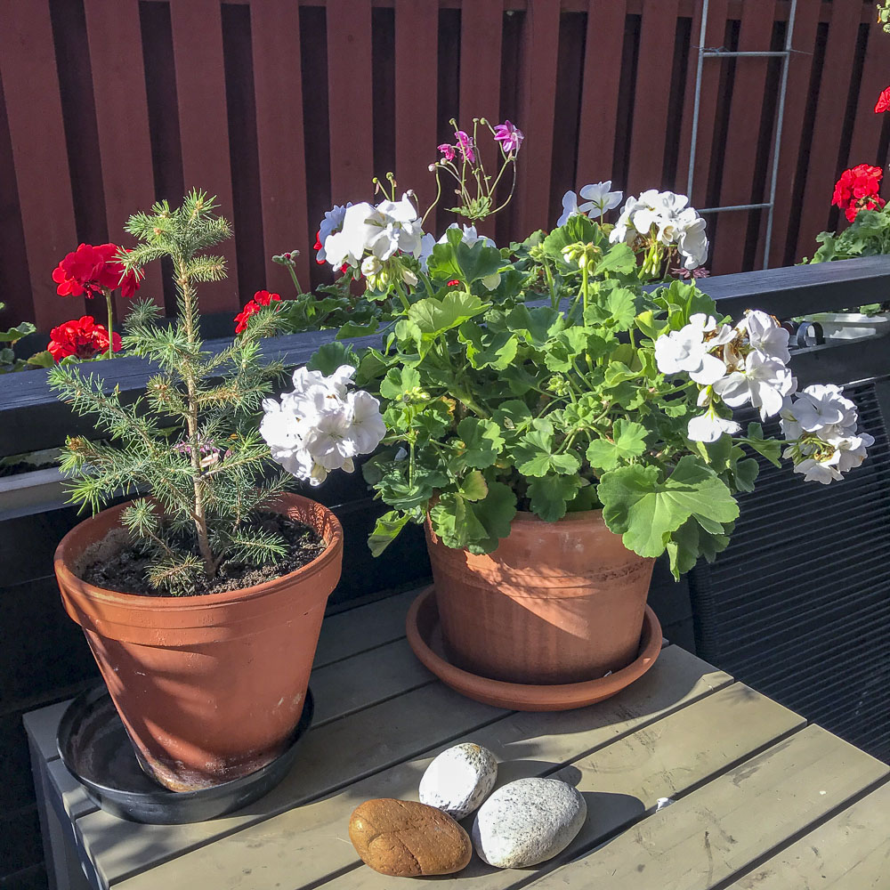 ninisworld: september 2018