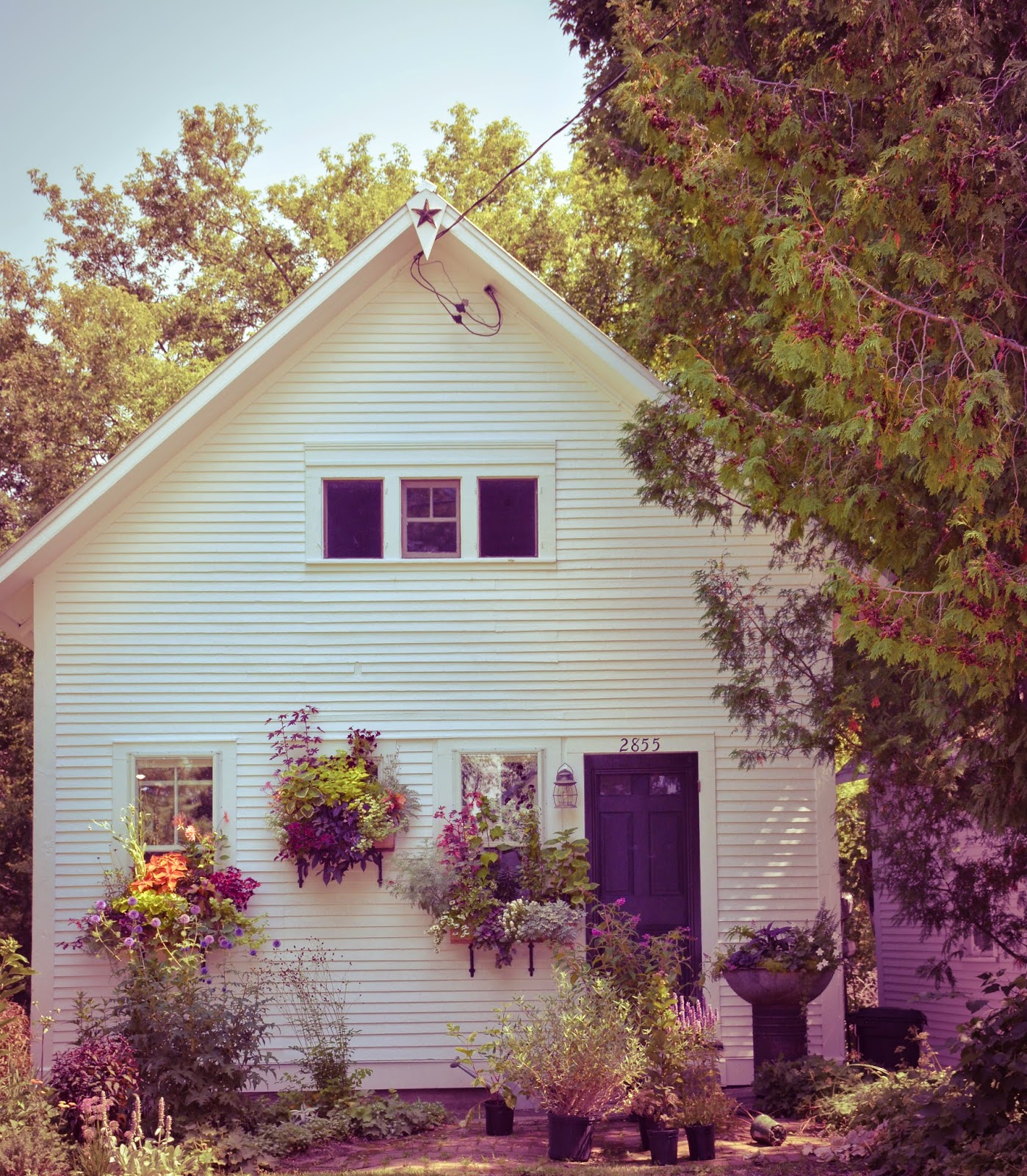 A SCRAPBOOK OF INSPIRATION: Vermont is...