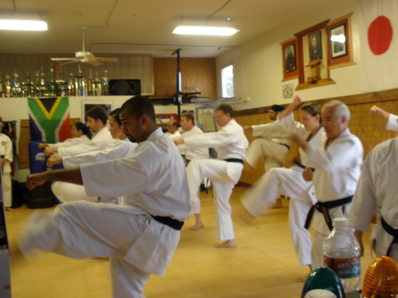 SeiwaKai of Texas Goju-Ryu Karate-do: USA GOJU-RYU SEIWAKAI INSTRUCTORS ...