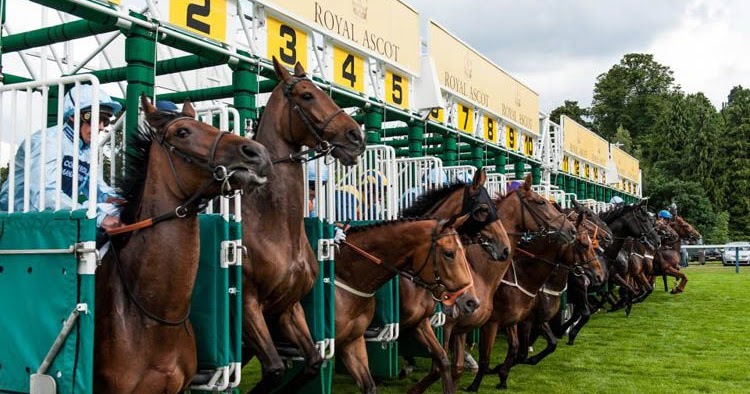 Just A Car Guy: What is the oldest race track? Roman Coliseums had the ...