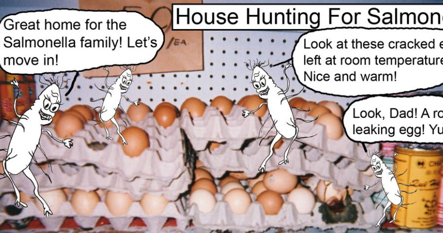 Health Inspector's Notebook: Health Inspector's Notebook Comic Strip ...