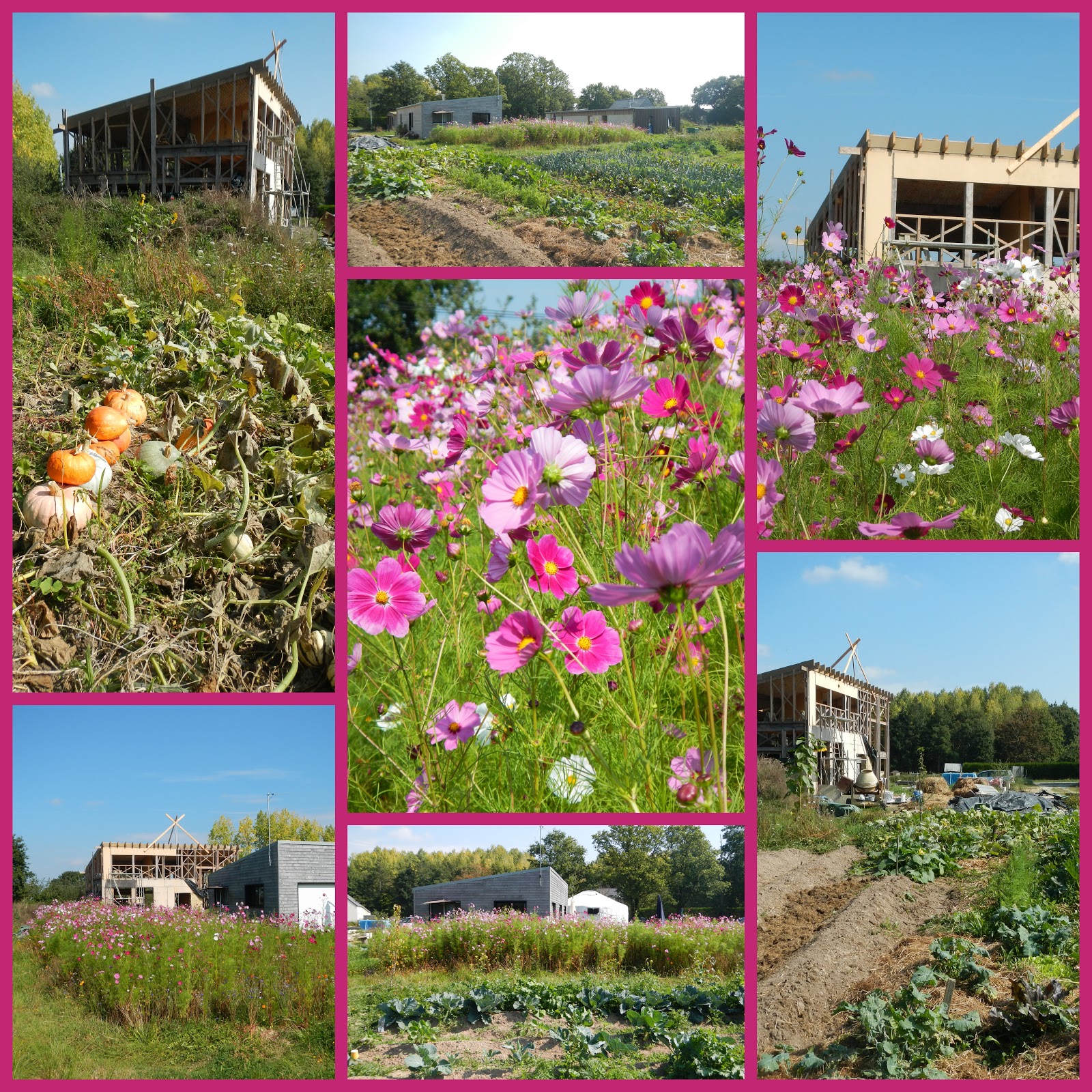eco-hameau-le-clos-d-emile-un-t-bien-rempli