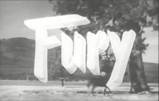 Television aarteet: Musta ori - Fury