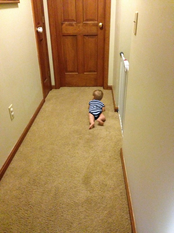 Ty & Wes Time: Flipping Westin Over, Ty the Tattler & Westin Obsessed ...