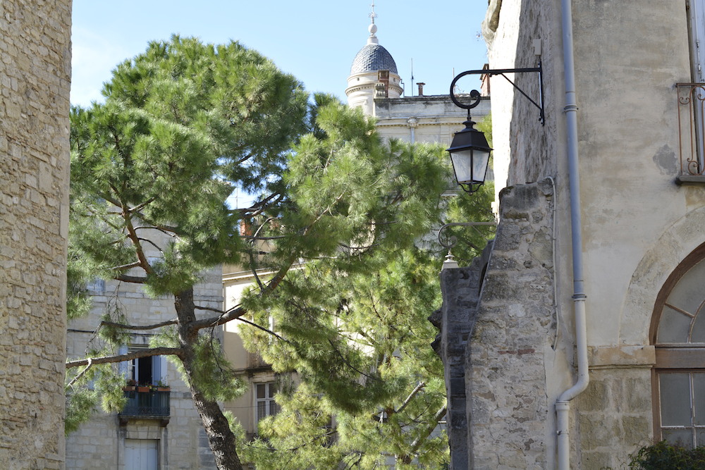 MaiTai's Picture Book: Sparkling spring