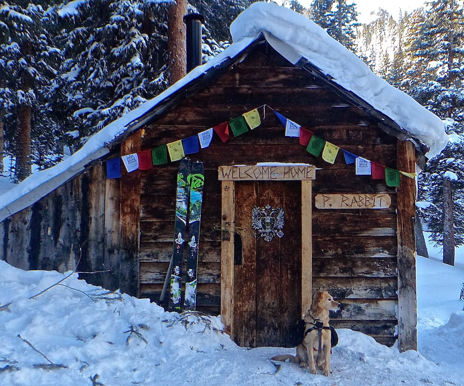 The Adventures of Oslo & Greg: Day Trip to Peter Rabbit Hut