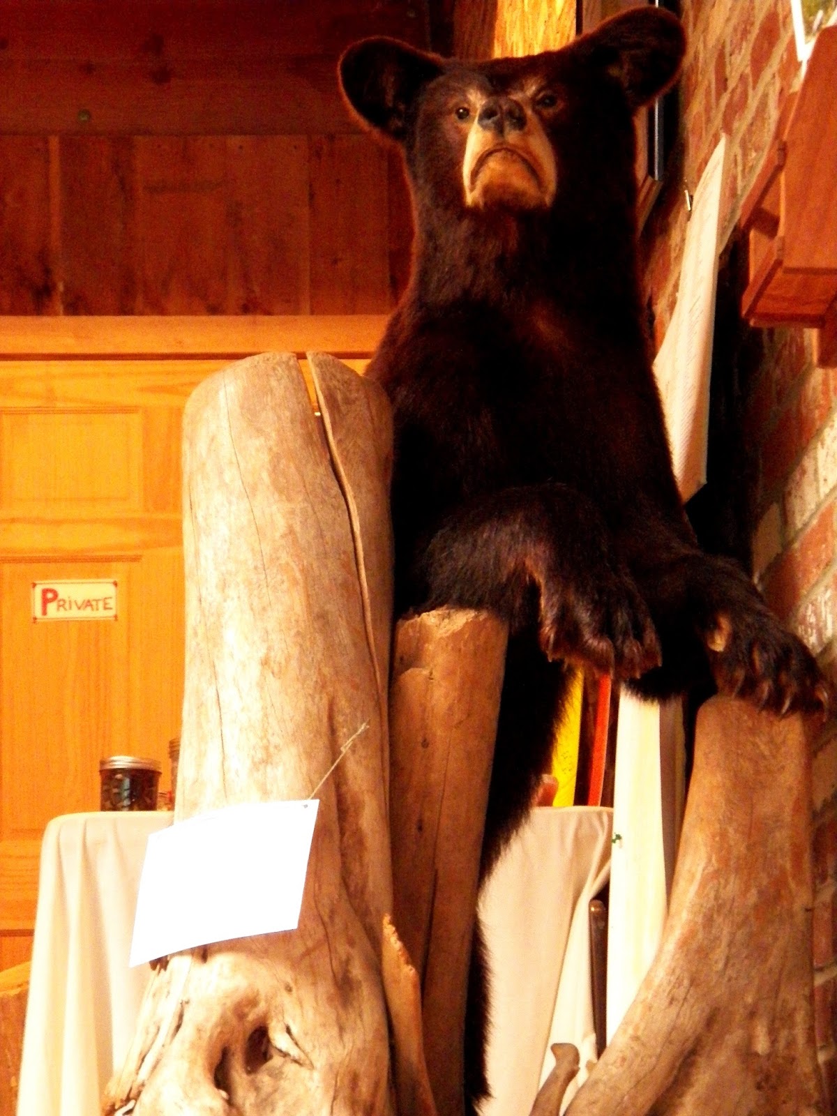 ACADIA NATIONAL PARK QUESTION S AND ANSWERS: WHERE CAN I SEE A BEAR IN ...