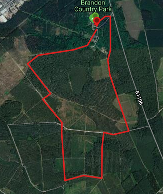 Reinterred: Brandon Country Park Walk