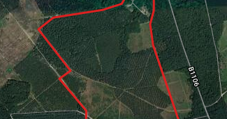 Reinterred: Brandon Country Park Walk