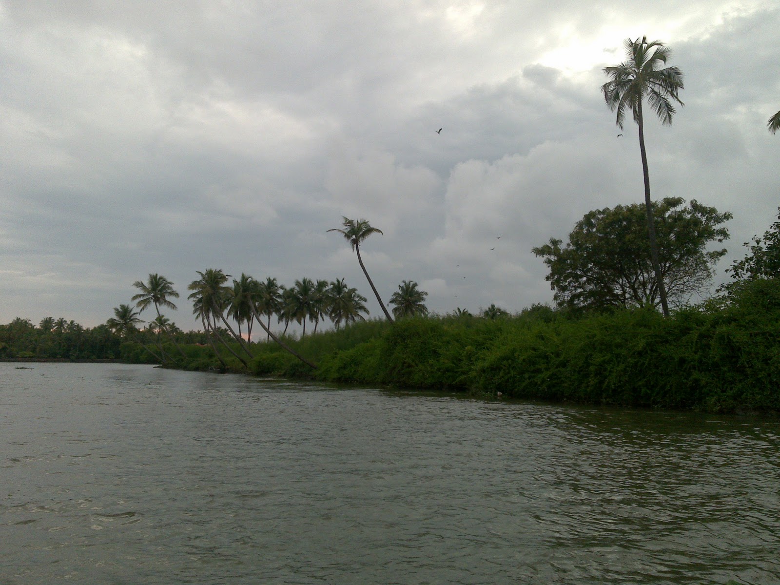Chettuva Backwater Photos - TravelHome