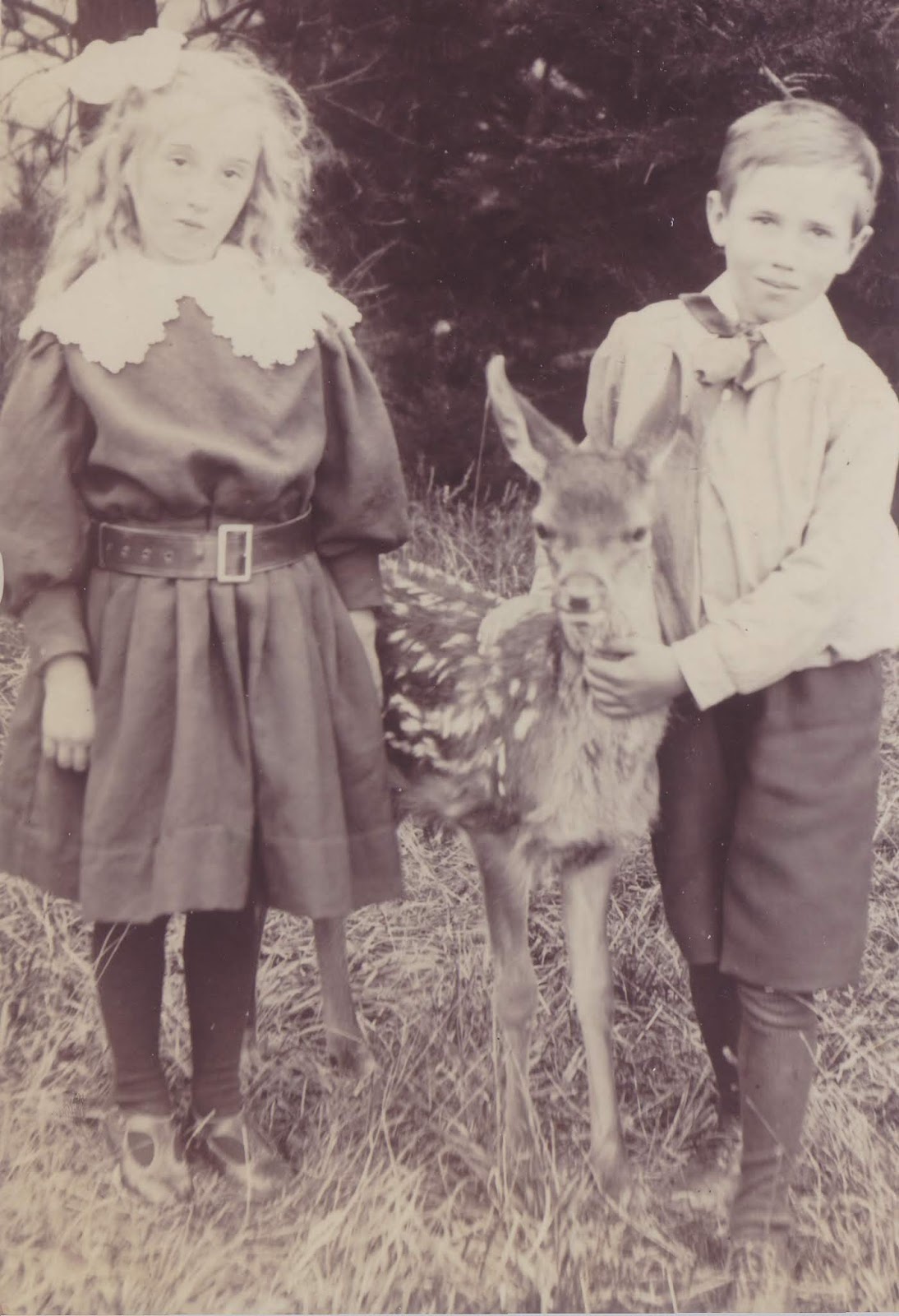 The Cobb Family of Napier: George