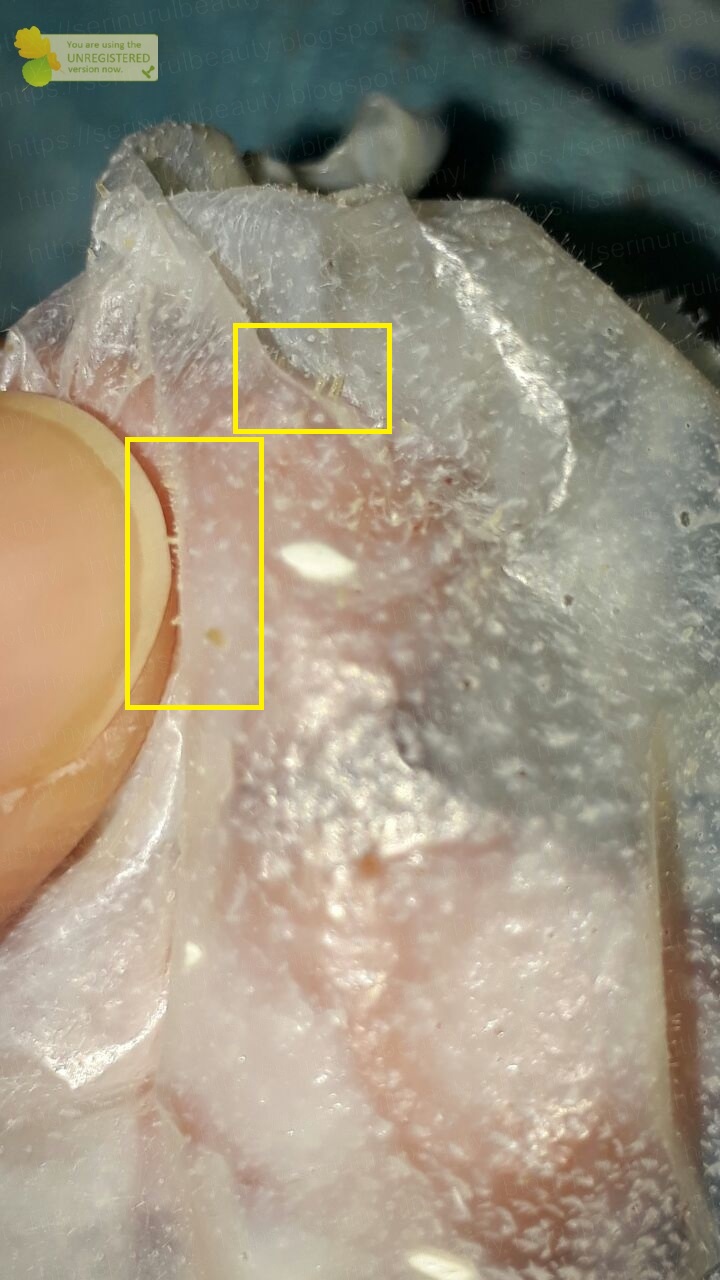 Healthy Nurul Beauty: The gruesome look of the dirt and sebum coming ...