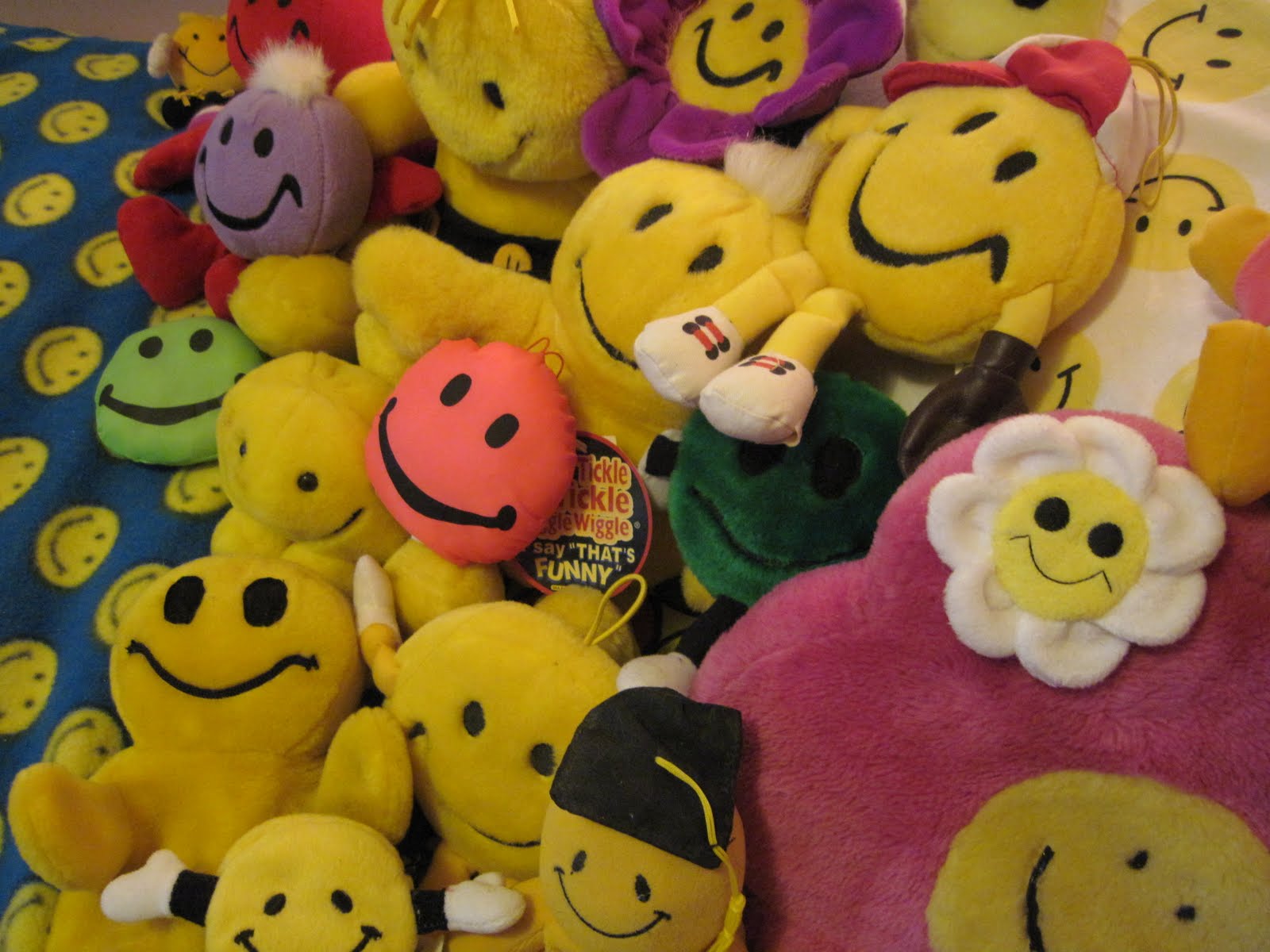 41 House Making Memories 365: Day 5 A Collection