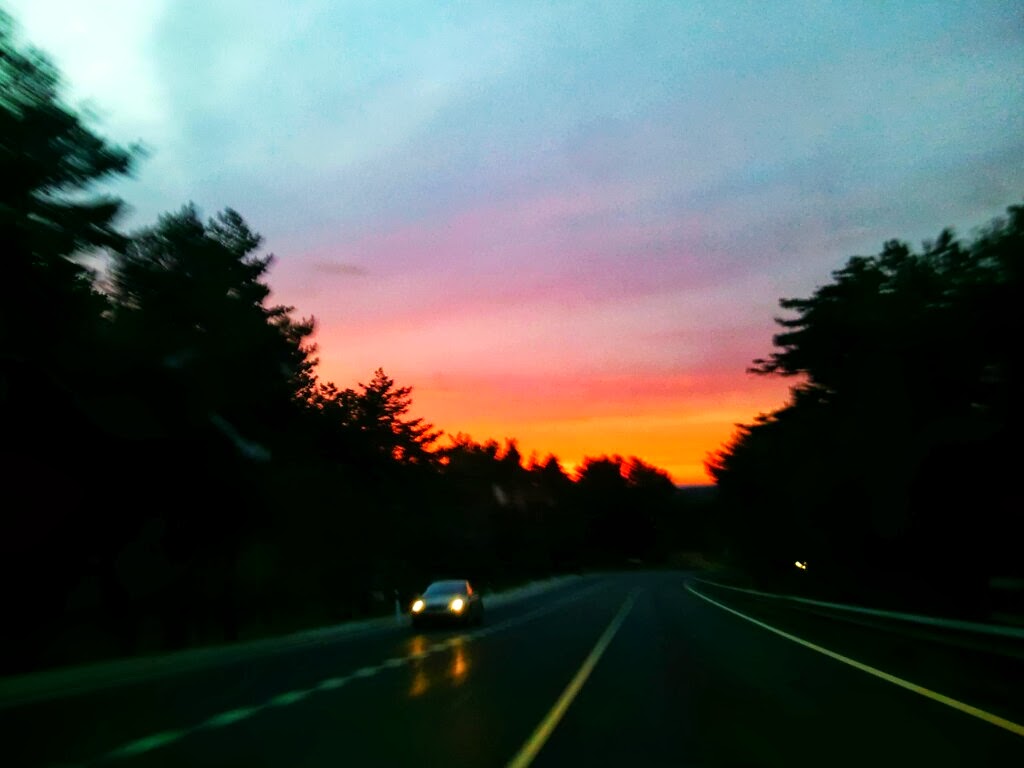 Pichi's Soup: Combinación de colores: naranja y azul