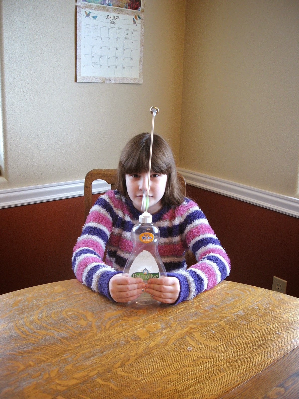 Almost Unschoolers: Newton's 2nd Law of Motion - Squeeze Bottle Strong ...