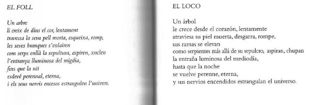 INSÓLITOS: ANDREU VIDAL