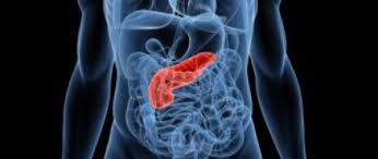 Pancreatite - Causas e sintomas de pancreatite - Artigos sobre saúde