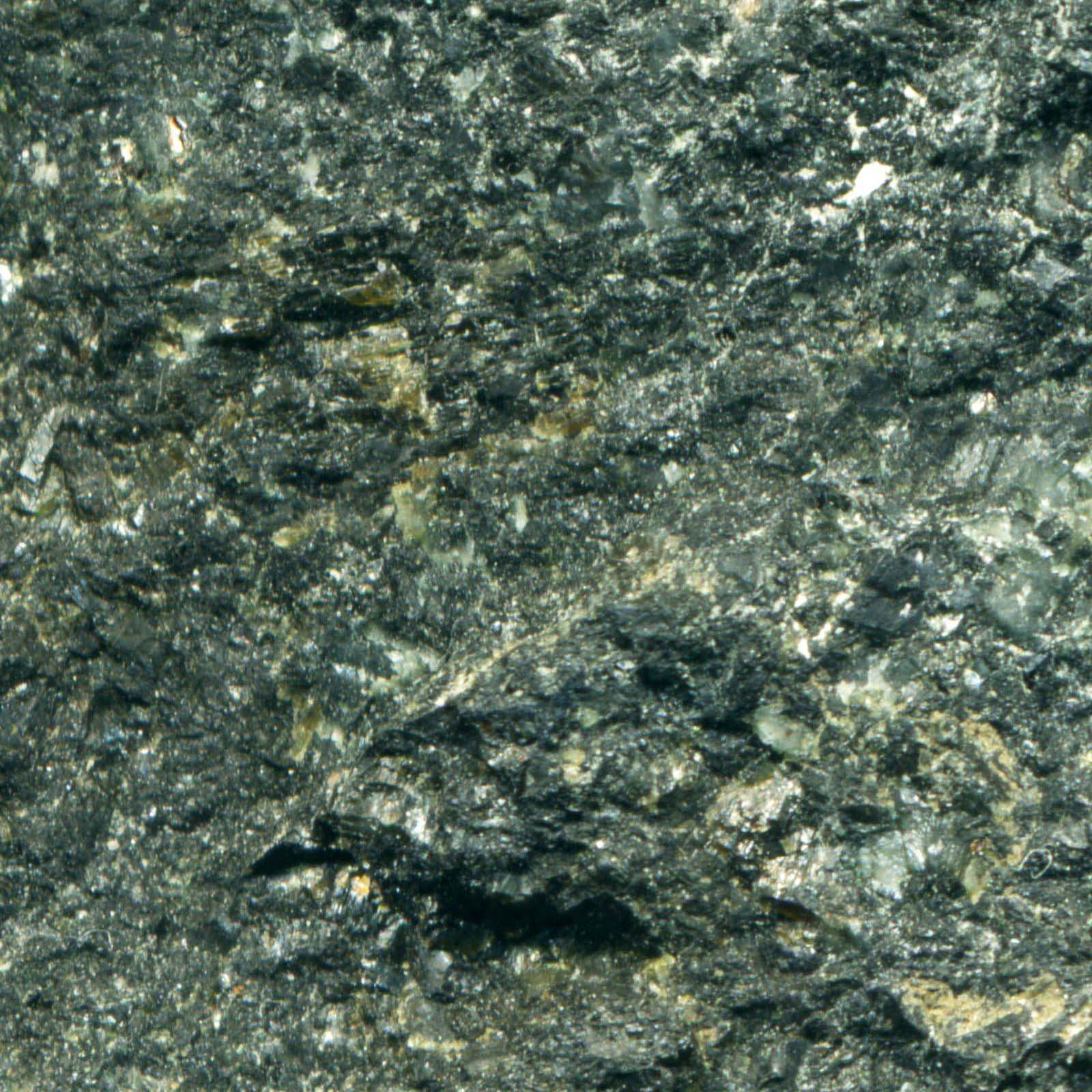 Peridotites: Yellow Dog peridotite (plagioclase-bearing lherzolite)