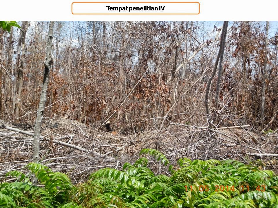 EKOLOGI TUMBUHAN KELOMPOK HUTAN RAWA GAMBUT 6E: Mei 2014