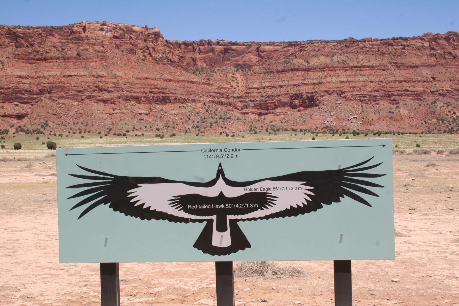 Southwest Explorations: Condor Country - Vermillion Cliffs