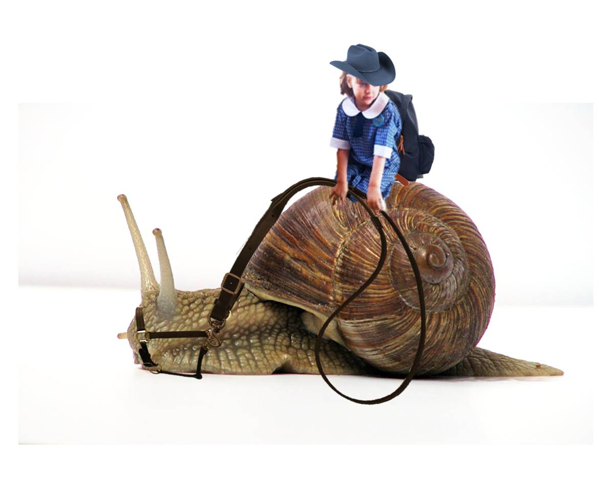 Rugrat Rodeos: Dawdling