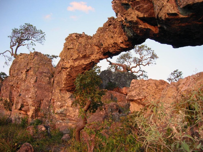 turismo en santa cruz: Roboré