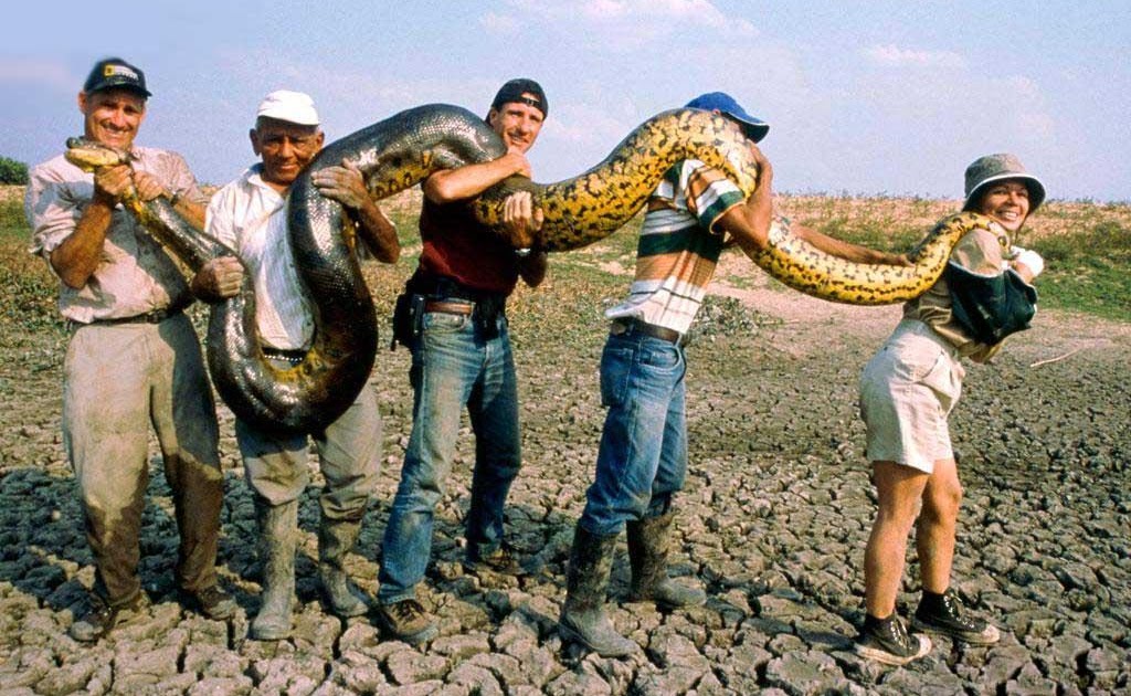 3.2 SUPERSTARS: King Cobra & the Anaconda