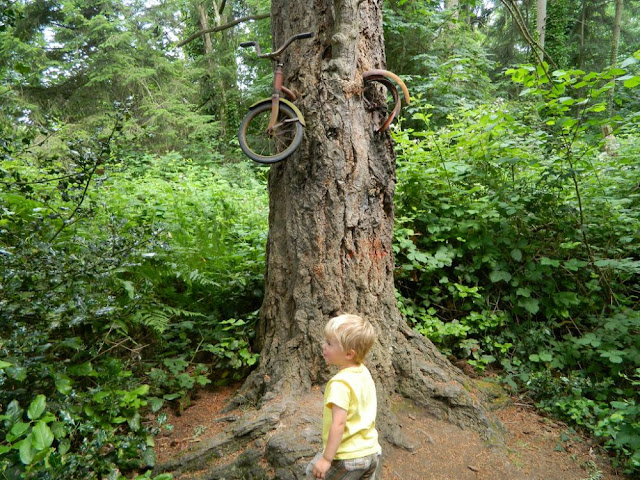 Vashon Island Bike Tree: The True Story Behind “a Boy Left His Bike ...