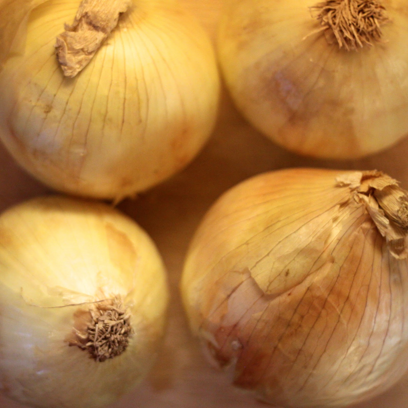 Jenessa's Dinners: Middle Eastern Stuffed Onions