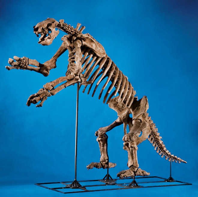 bensozia: Paleo Mega Burrows