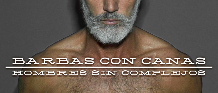 A ti, ¿qué te gusta? - El blog gay definitivo: Barbas con canas ...