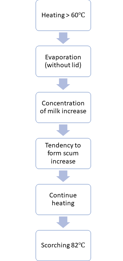 Chapter 3.2: Protein