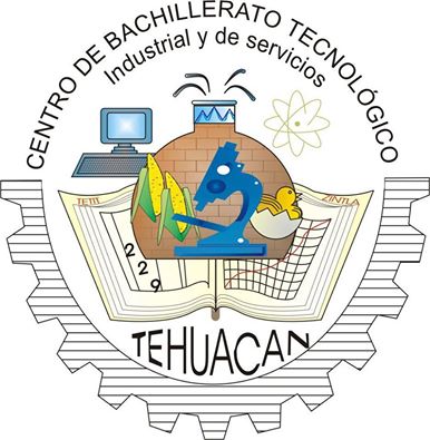 tehuacán,Pue. CBTIS 229: CBTIS 229