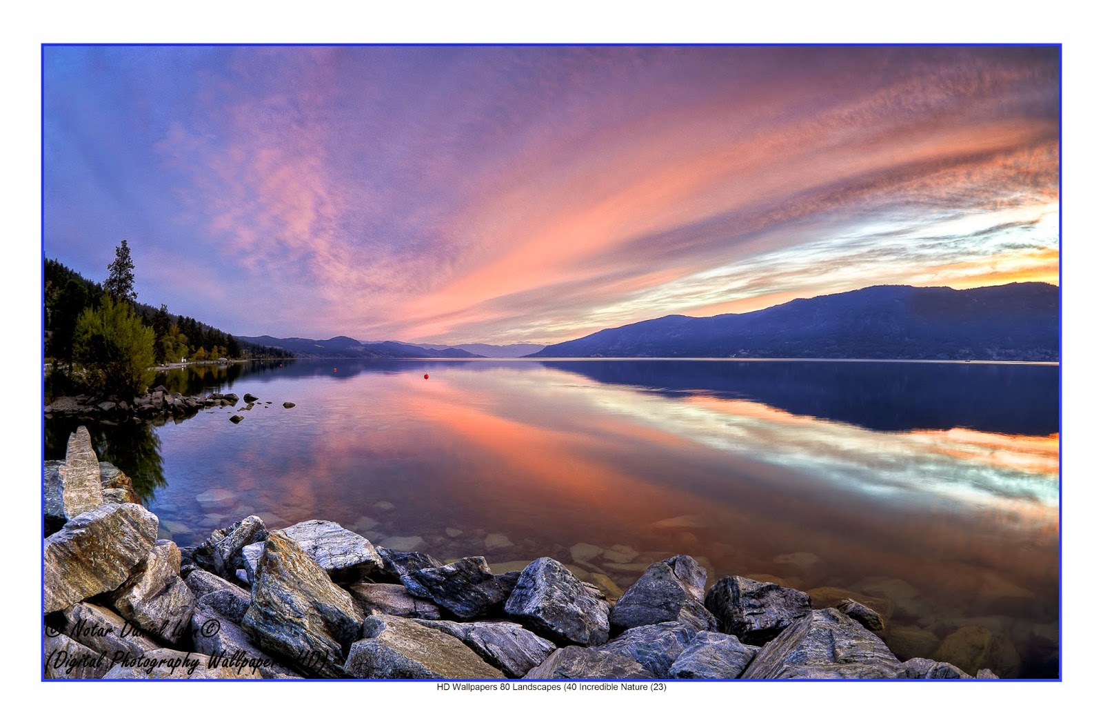 Cine e single si isi cauta iubit/iubita - Single Seeking Single ...