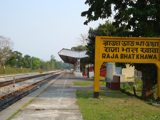 Beautiful Forest Trip at Buxa Tiger Reserve this Durga Puja 2013 ...