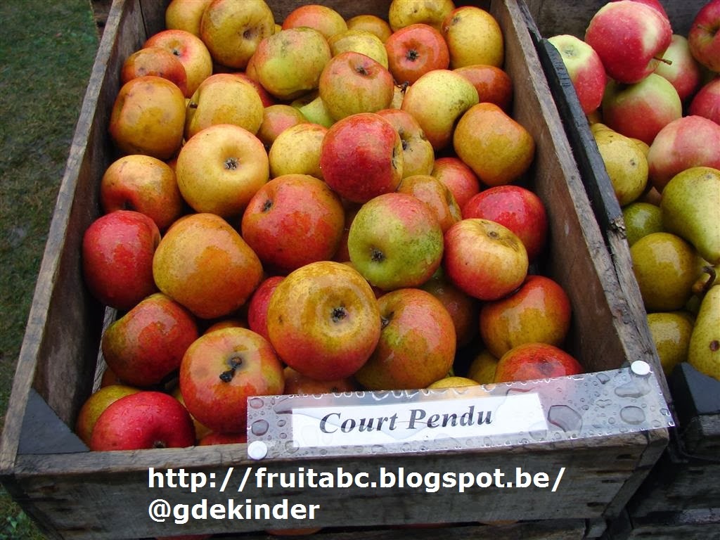 Inheems- en uitheems fruit: Peren en appels bewaren.