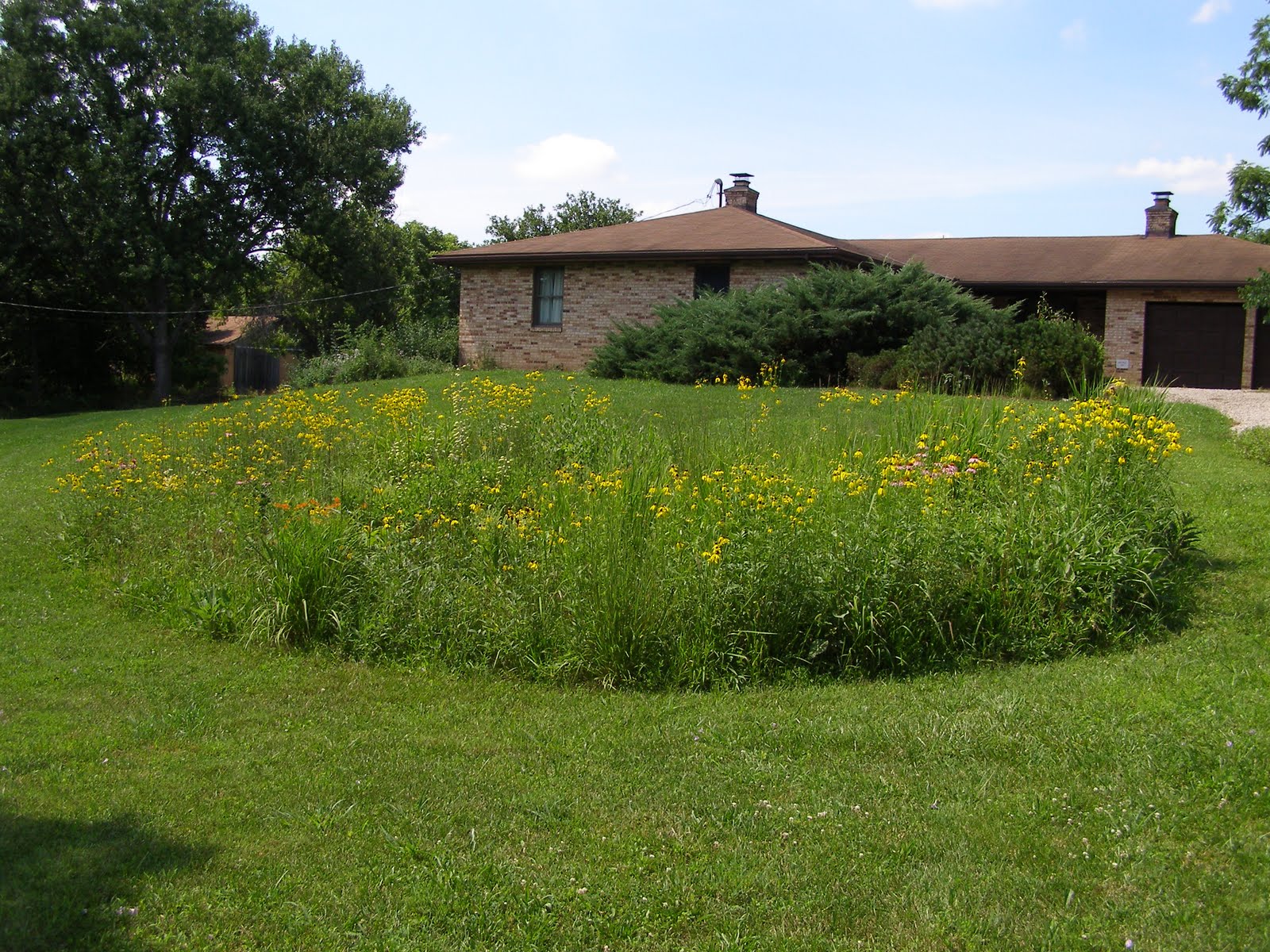 Blue Jay Barrens: July Prairie Garden