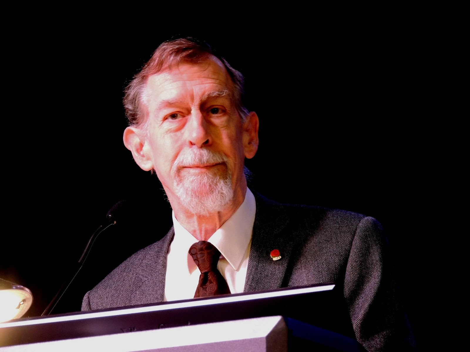 FFanzeen: Rock'n'Roll Attitude With Integrity: 2017