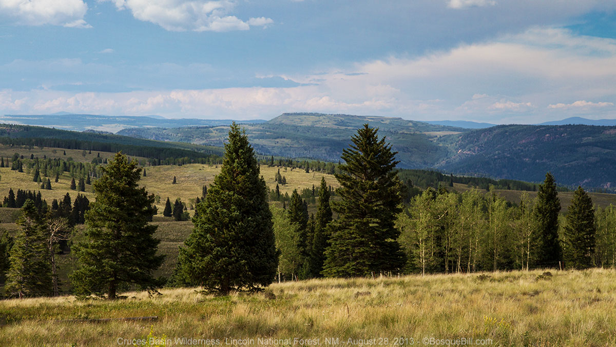 Bosque Bill's Backroads: Northern New Mexico, featuring Carson National ...