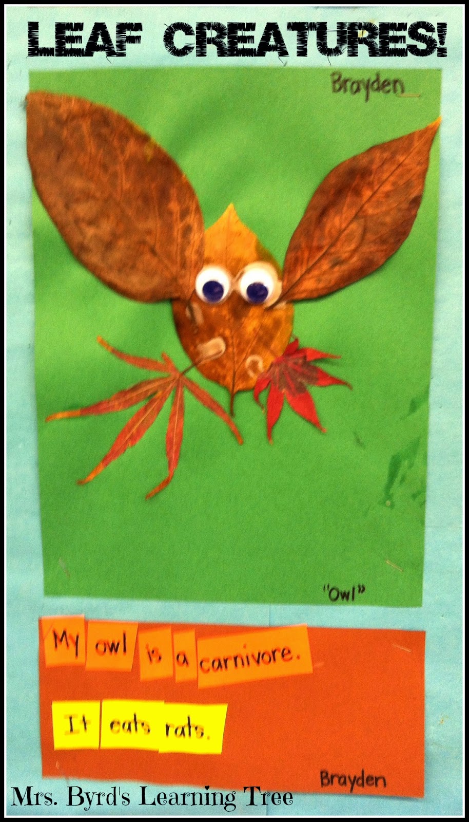 Mrs. Byrd's Learning Tree: Fall Fun!