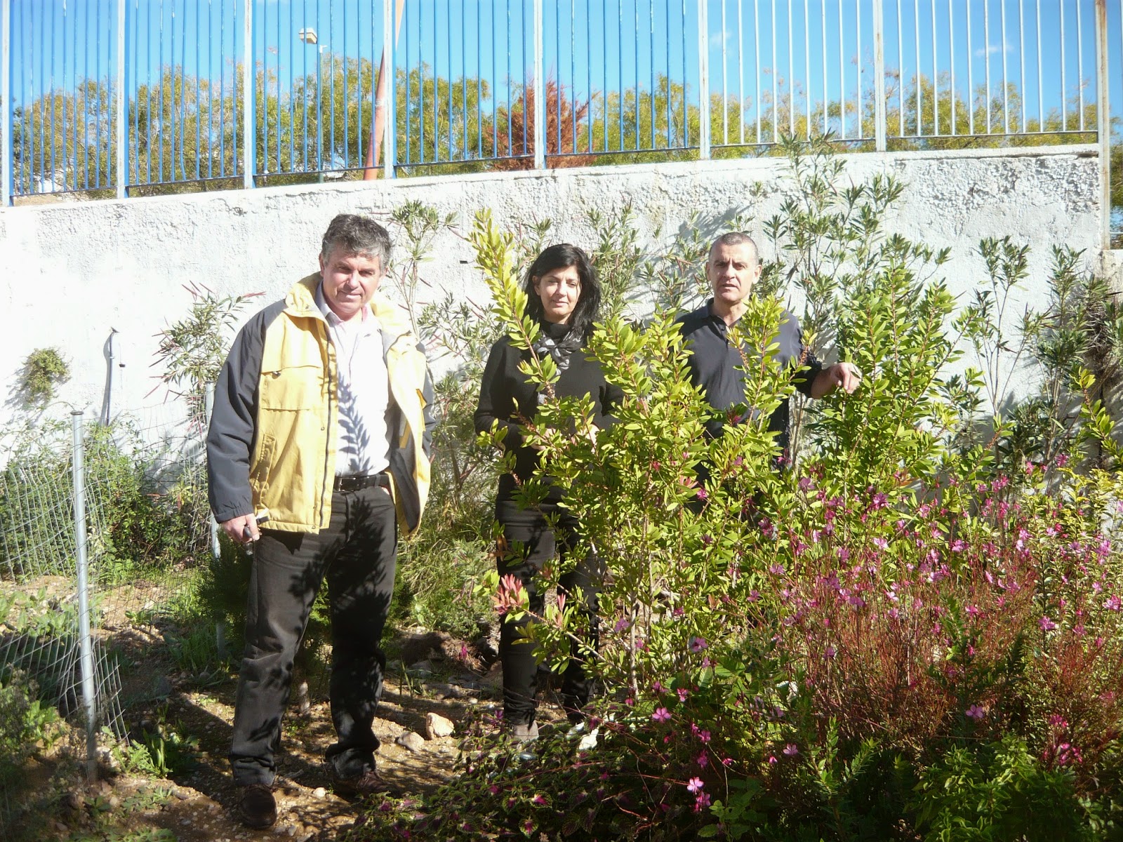 ΣΧΟΛΙΚΟΙ ΛΑΧΑΝΟΚΗΠΟΙ : ΟΙ ΚΗΠΟΙ ΤΩΝ ΣΧΟΛΕΙΩΝ ΤΗΣ Δ/ΣΗΣ Β/ΘΜΙΑΣ ΕΚΠ/ΣΗΣ ...