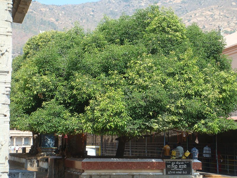 BHAGAVADGITA: GITA 6.22